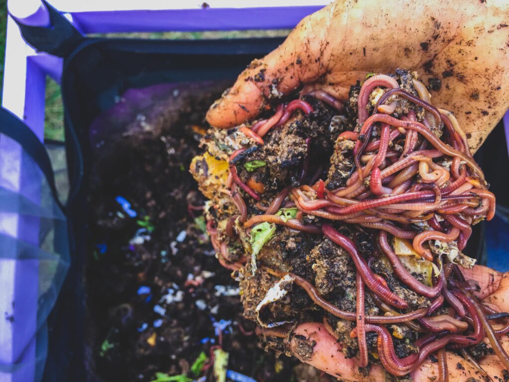 6 Easy Steps to Set Up a Worm BOX BIN | Worm Ohana