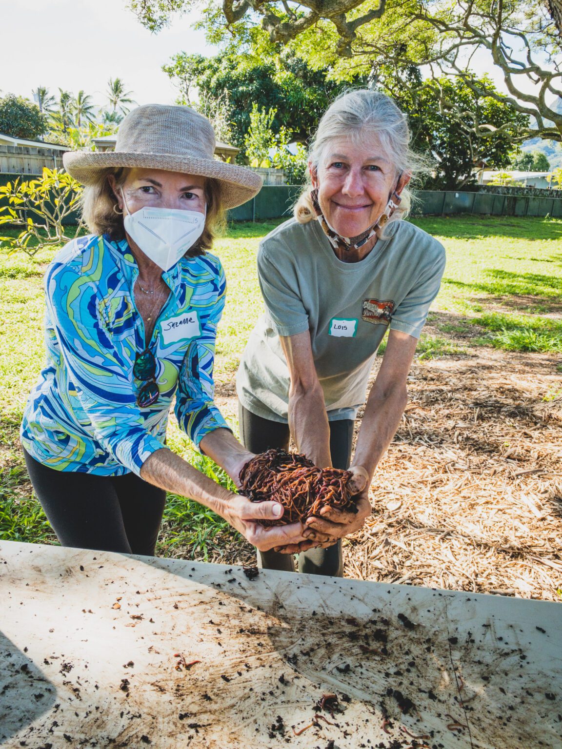 Worm Ohana - Learn to vermicompost using composting worms Hawaii