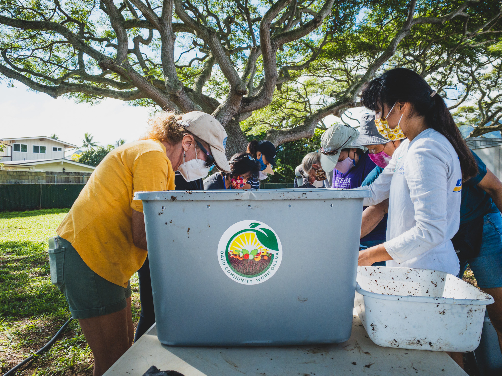 Worm Ohana - Learn to vermicompost using composting worms Hawaii