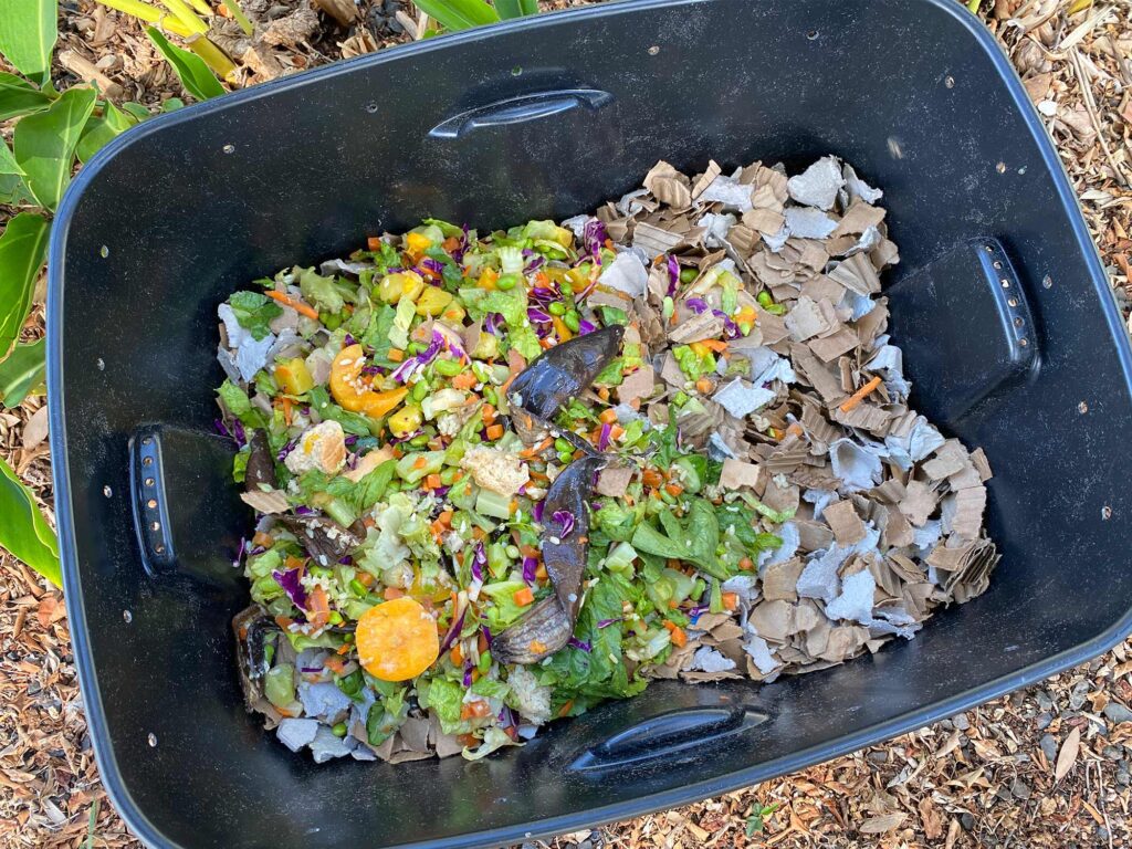 Worm Ohana - Learn to vermicompost using composting worms Hawaii